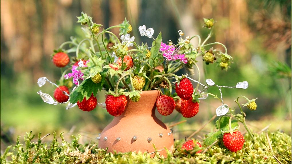 Fragul de padure | Biserica Adventistă Câmpulung Muscel
